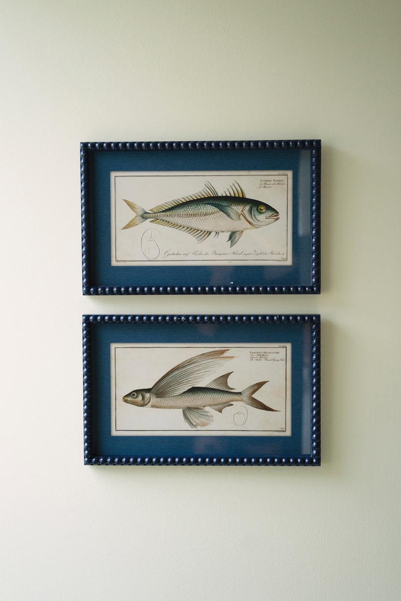 set of 2 navy framed fish prints under glass