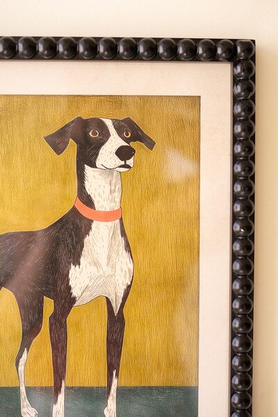 set of 4 framed hound prints under glass