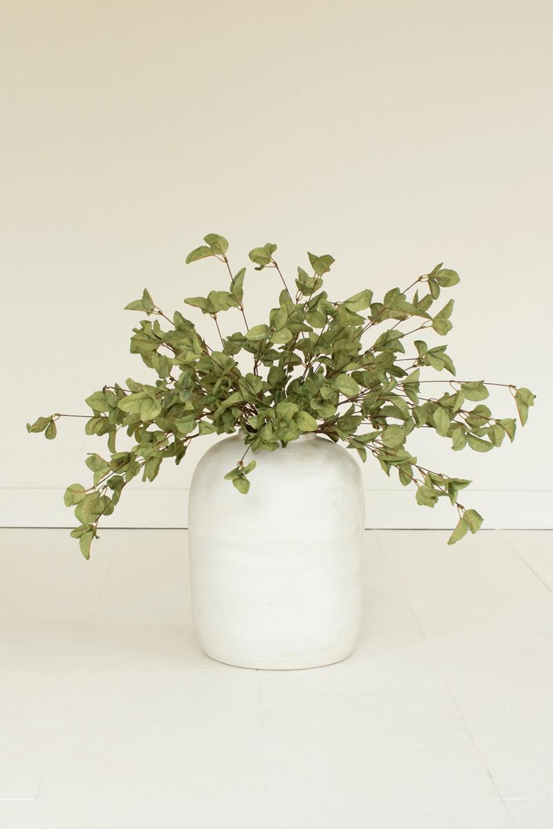 botanica #9035