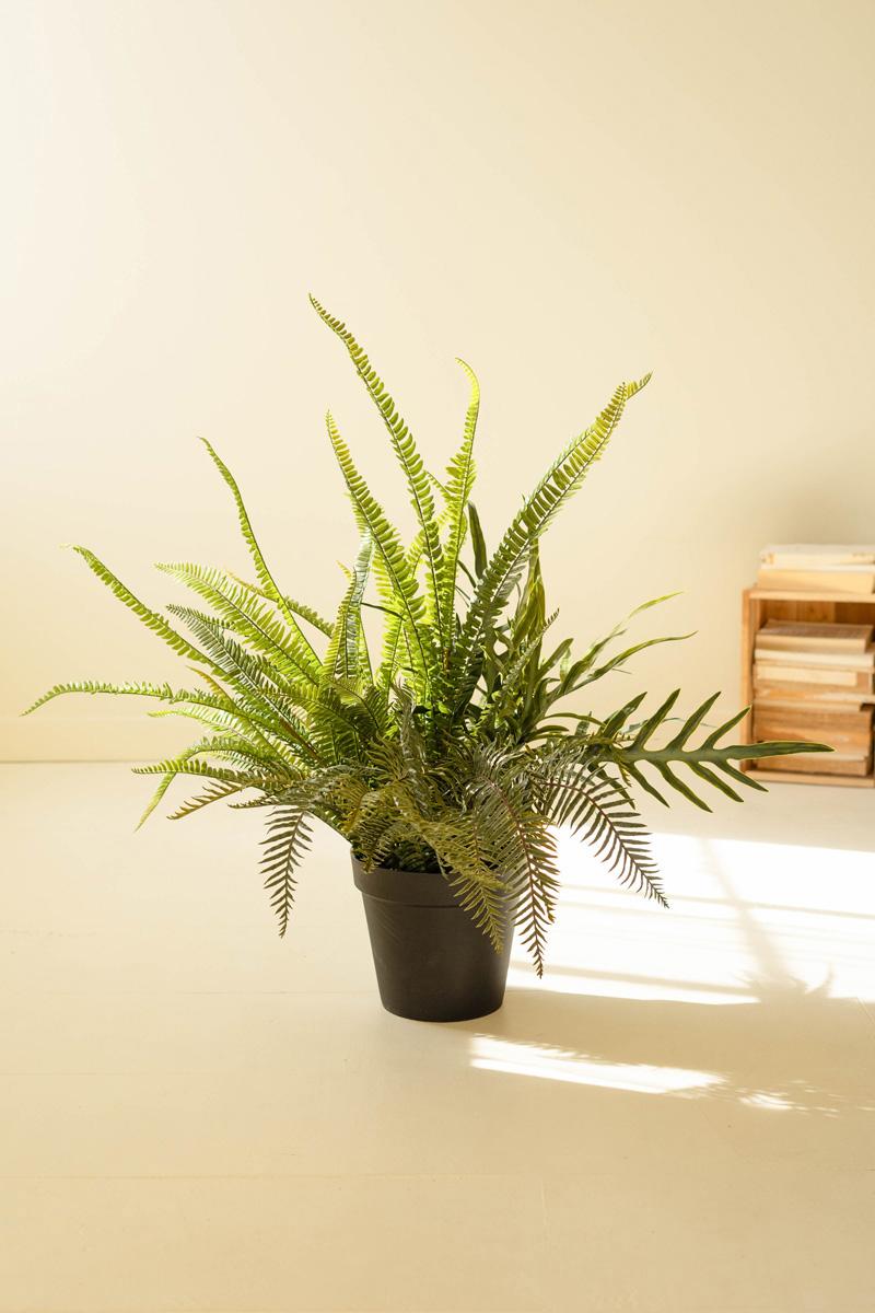 artificial mixed ferns in black plastic pot