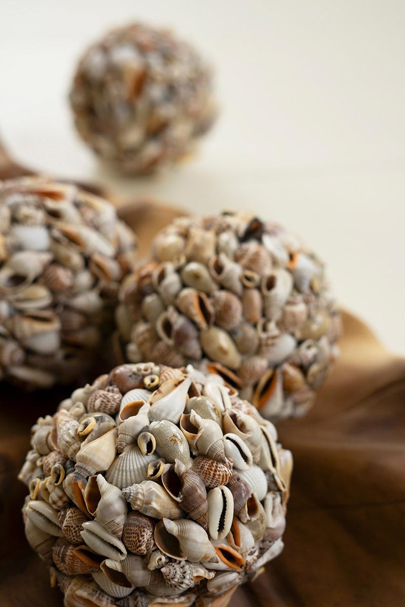 shell ball