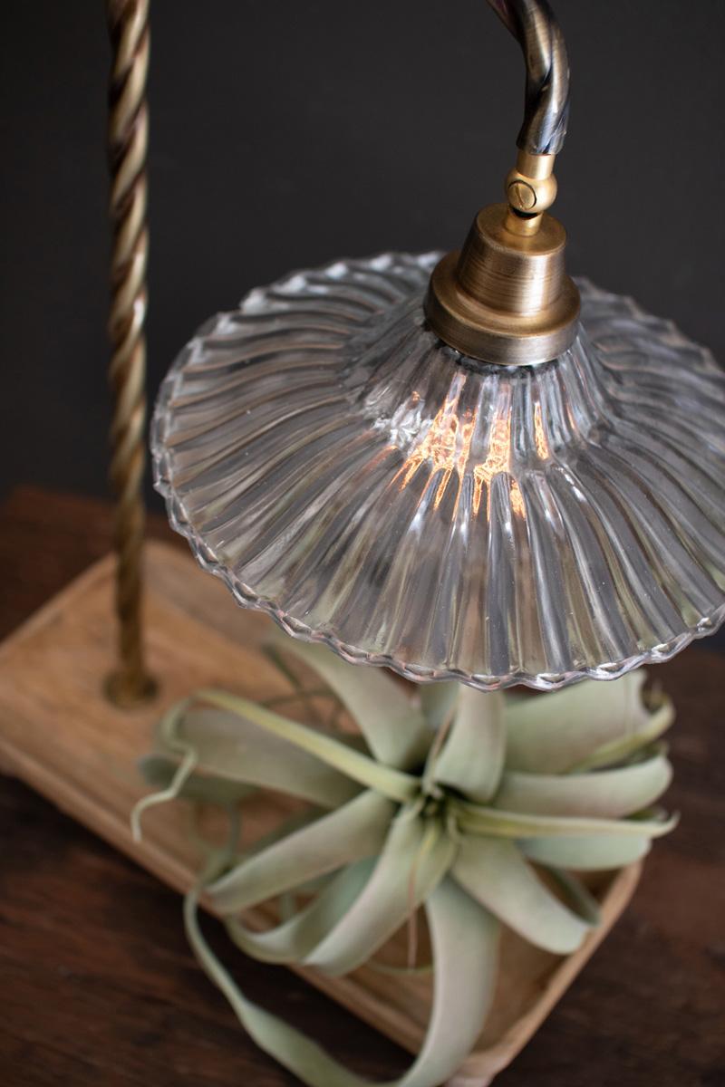 gooseneck table lamp with wooden tray base and glass shade